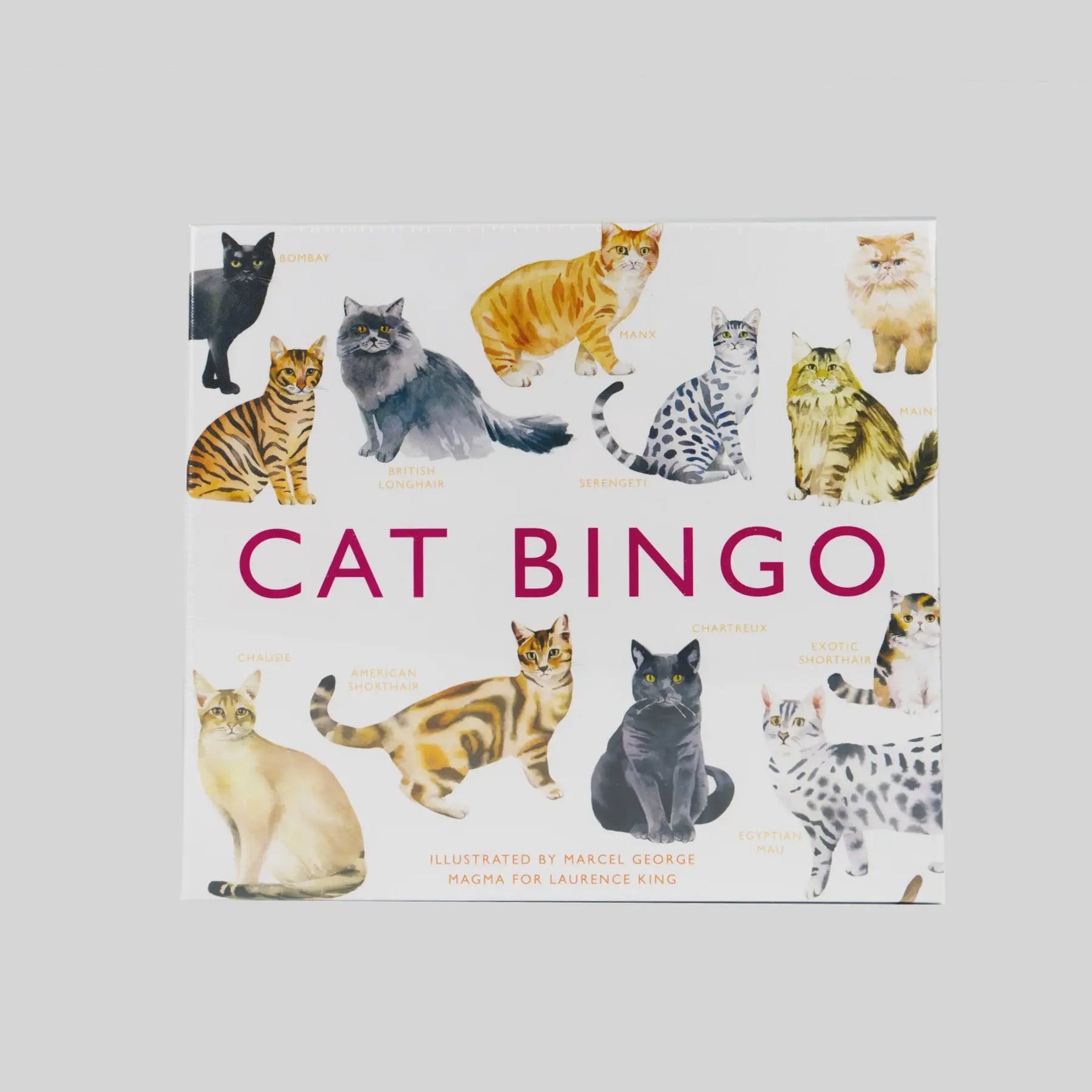 Cat Bingo | Long Way Home