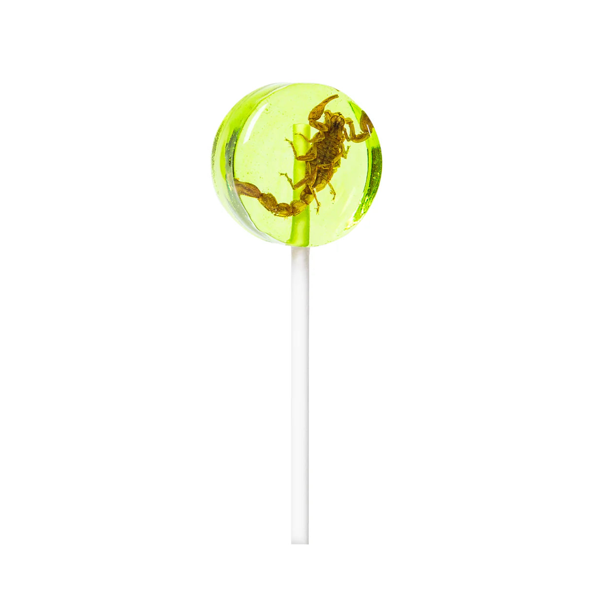 Eat Crawlers Insect Lollipops | Shop Eat Crawlers | Long Way Home